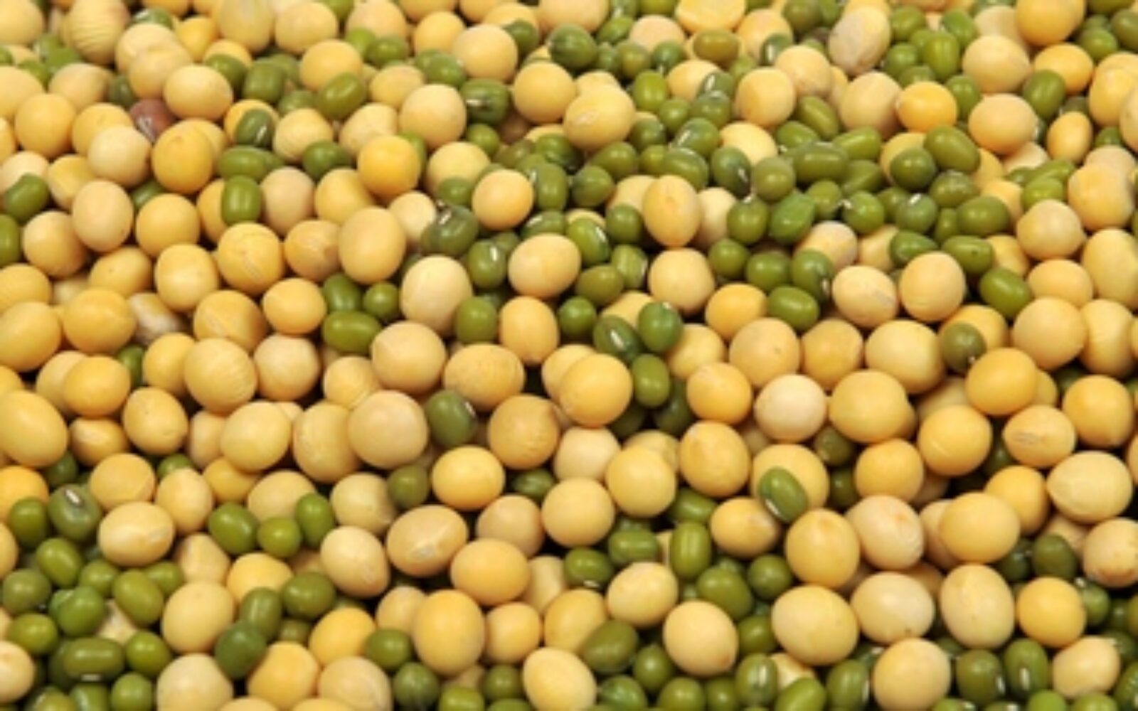 Ovo su najpoželjnije sirovine za ulaganje prema Morgan Stanleyju ...