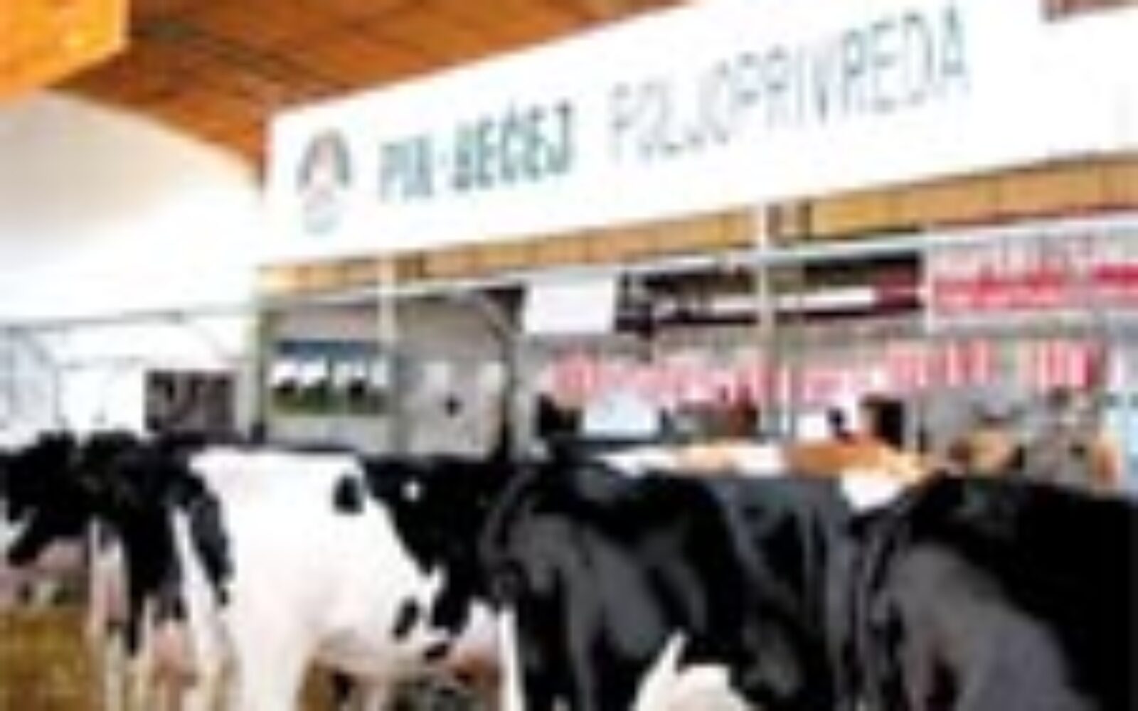 Vojvođani žele da Pipunićevo Žito preuzme PIK Bečej - Poslovni dnevnik