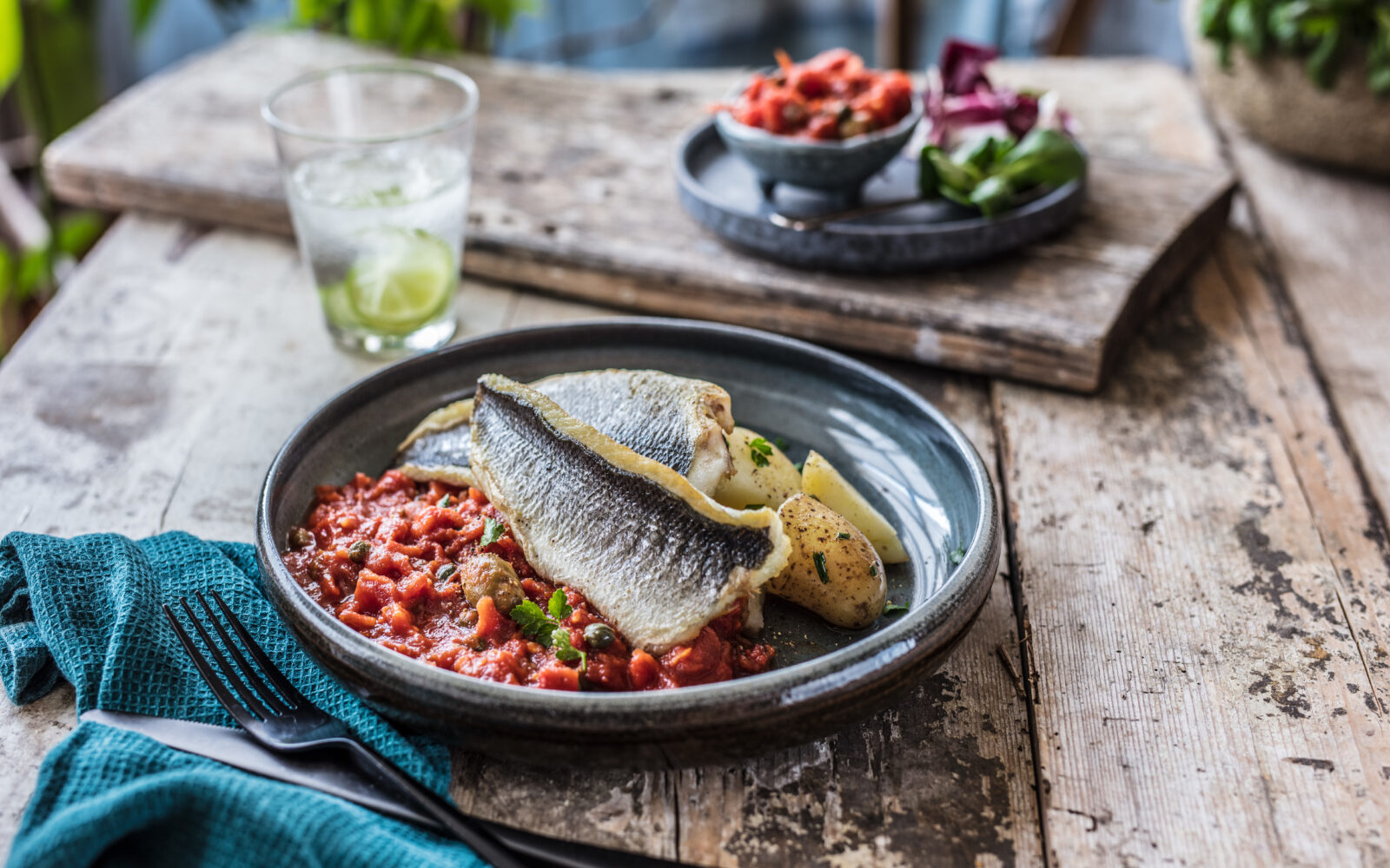 Brancin na umaku od rajčice - Poslovni dnevnik