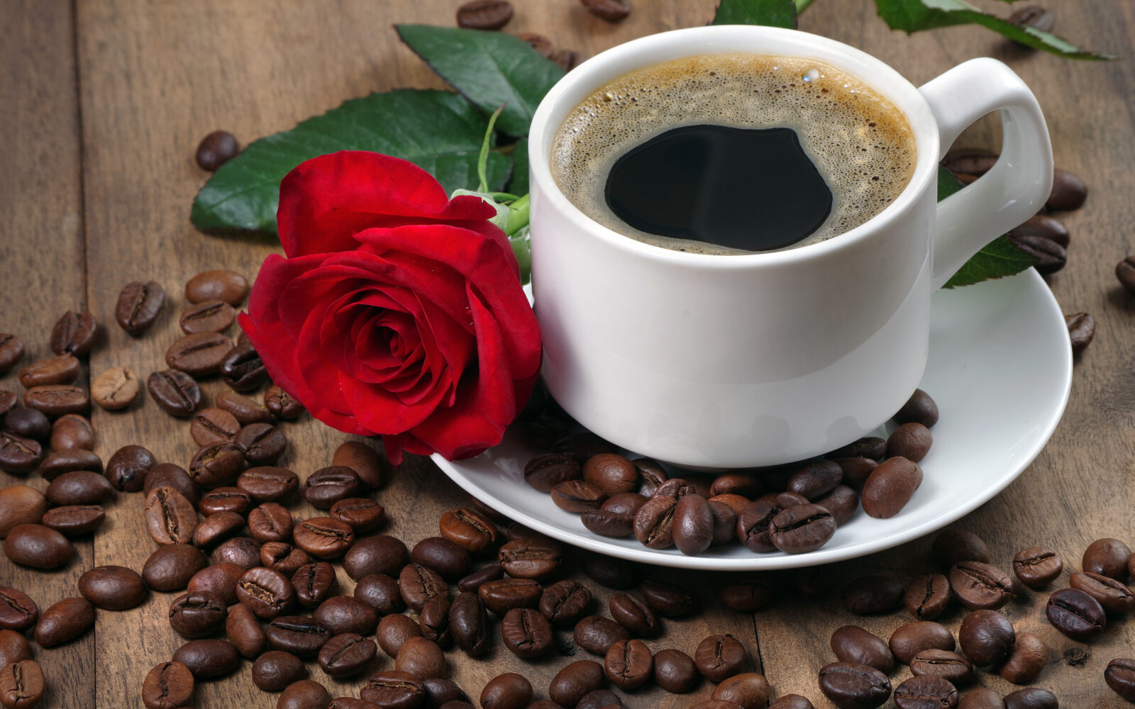 Započnite jutro uz šalicu svježe, posebno mljevene kave - Poslovni dnevnik