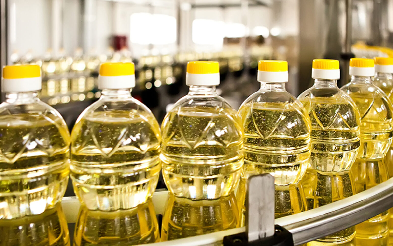 BIMAL Grupa 100% vlasnik Sunca - Poslovni dnevnik