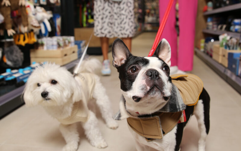 Pet Network International preuzima Pet Republic Group - Poslovni dnevnik